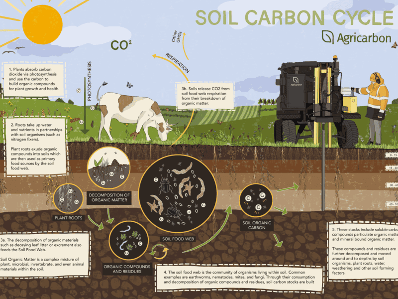 The Soil Carbon Cycle: A Solution to Climate Change - Agricarbon