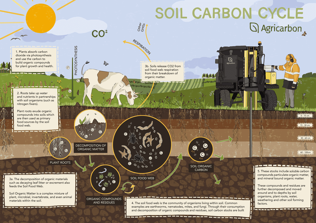 The Soil Carbon Cycle: A Solution to Climate Change - Agricarbon